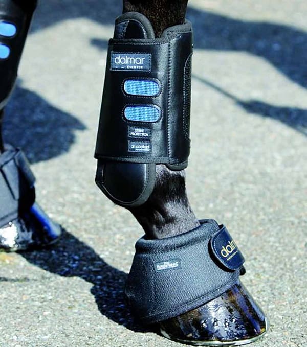 Dalmar Eventer Boots | CJ Puddy Saddlery