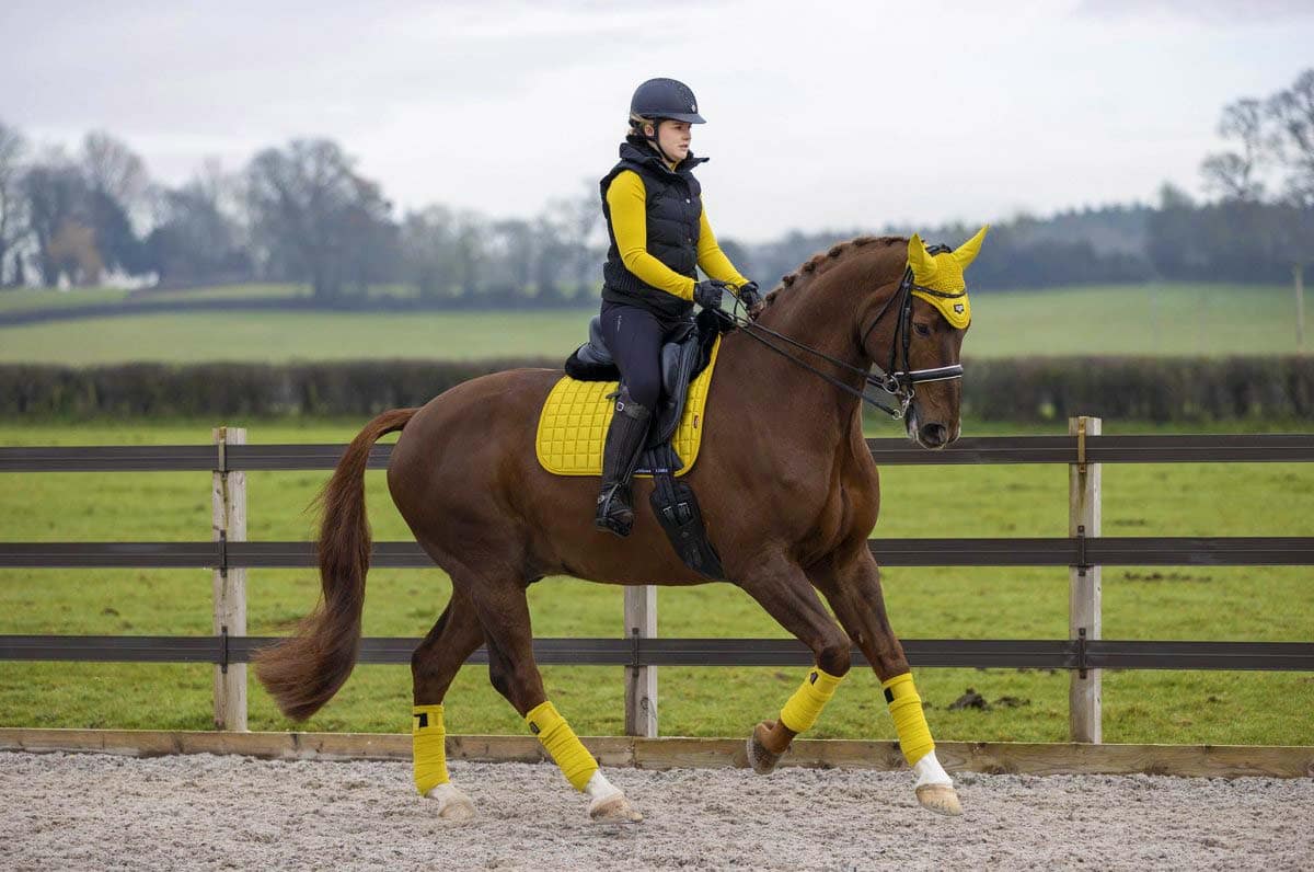 LeMieux Dijon and Oak collections in store now | CJ Puddy Saddlery